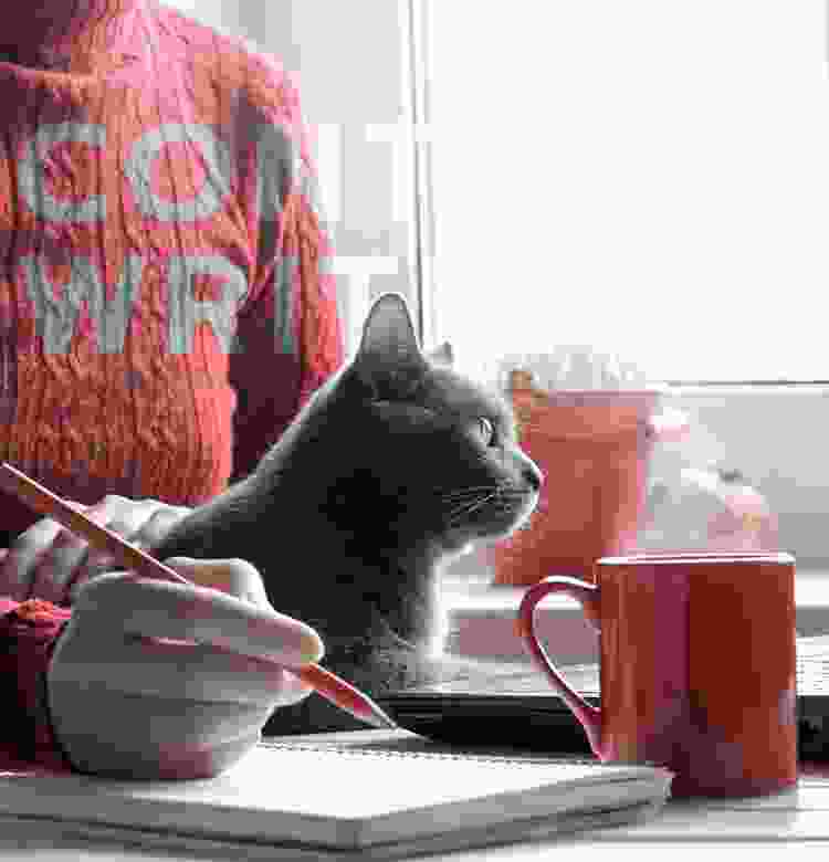 Services-old – VLABS